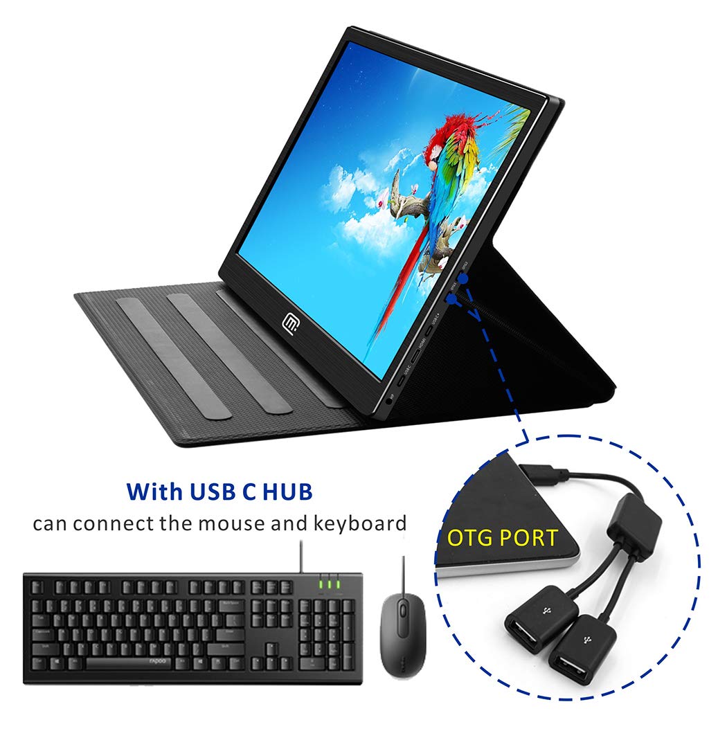 Portable Gaming Monitor for Nintendo Switch,13.3 Inch 1080p IPS Display,HDR USB C/Hdmi Video Input with Stand Case,Compatible with PS4 Xbox One and MacBook Matebook Surface Laptop Pc and More