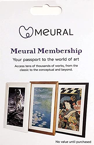 Netgear Meural Canvas II Bundle β 27" HD Digital Canvas (19X29) Black Frame with Swivel Mount & Annual Membership Card (MC327BLS)