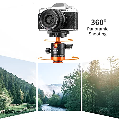 K&F Concept 78 inch Camera Tripod for DSLR Compact Aluminum Tripod with 360 Degree Ball Head and 10KG Load for Travel and Work K234A7+BH-28L (S210)