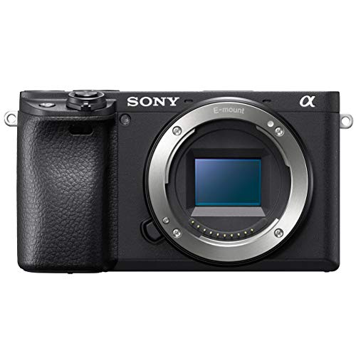 Sony a6400 4K Mirrorless Camera Body ILCE-6400/B with FE 50mm F1.8 Lens Kit Bundle with Deco Gear Travel Case 2X Extra Battery Essential Photography Accessory Set