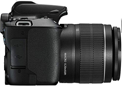 Canon EOS 250D (Rebel Sl3) DSLR Camera w/EF-S 18-55mm F/3.5-5.6 Zoom Lens + 32GB Memory + Case + Tripod (20pc Bundle) (Renewed)