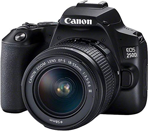Canon EOS 250D (Rebel Sl3) DSLR Camera w/EF-S 18-55mm F/3.5-5.6 Zoom Lens + 32GB Memory + Case + Tripod (20pc Bundle) (Renewed)