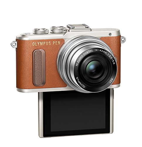 OLYMPUS PEN E-PL8 14-42mm EZ lens kit [Brown][International Version, No Warranty]