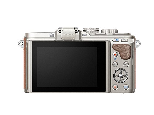 OLYMPUS PEN E-PL8 14-42mm EZ lens kit [Brown][International Version, No Warranty]
