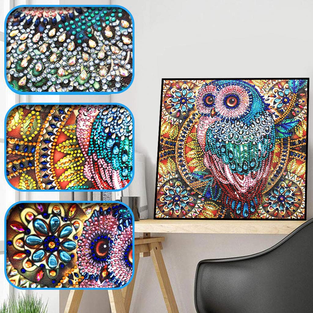 Hibah Diamond Painting DIY 5D Special Shape Rhinestone, Owl, Partial Diamond Crystal Diamond Painting Set (Mandala)