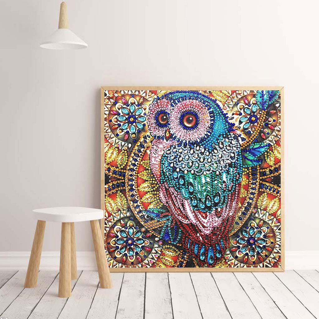 Hibah Diamond Painting DIY 5D Special Shape Rhinestone, Owl, Partial Diamond Crystal Diamond Painting Set (Mandala)