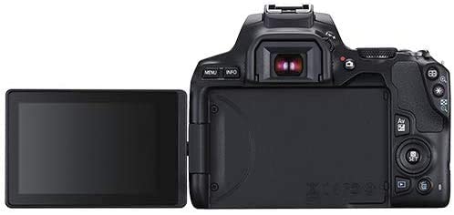 EOS 250D / Rebel SL3 Digital SLR Camera Body w/EF-S 18-55mm f/3.5-5.6 Lens 3 Lens DSLR + Canon 75-300 Lens Kit Bundled with Complete Accessory Bundle - International Model (Renewed)