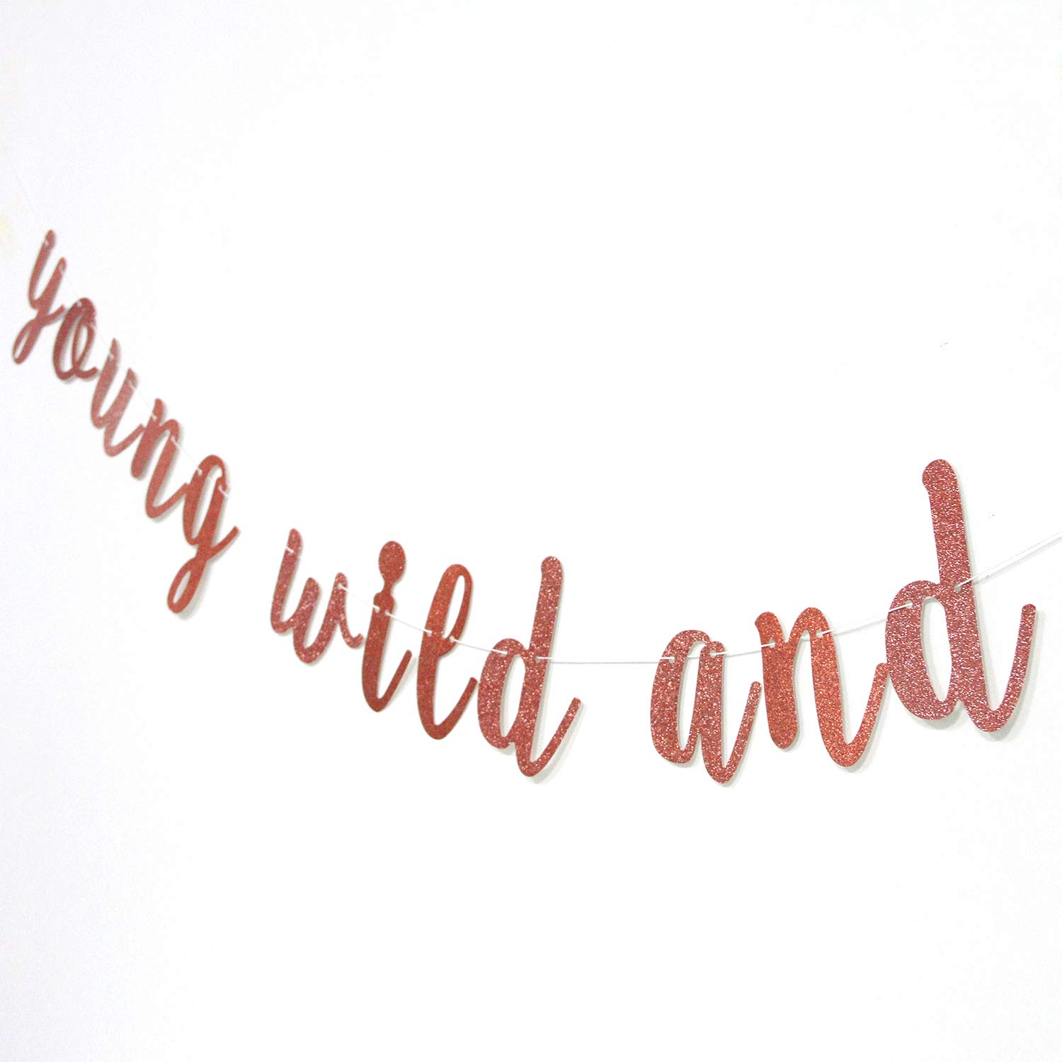 Rose Gold Glitter Young Wild and Three Banner - Happy 3rd Birthday Boy Girl Party Decorations - Great for Baby Shower Boho Tribal Themed 3rd Birthday Party Decor