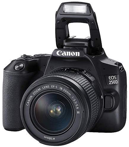 EOS 250D / Rebel SL3 Digital SLR Camera Body w/EF-S 18-55mm f/3.5-5.6 Lens 3 Lens DSLR + Canon 75-300 Lens Kit Bundled with Complete Accessory Bundle - International Model (Renewed)