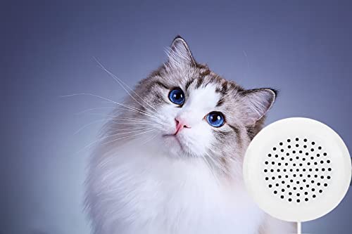 2PCS Pillow Speaker,3.5mm Jack Portable Speaker, Under Pillow Speaker Compatible with Almost All Audio Devices with 3.5 mm Jack Such as MP3, MP4, CD Player, Mobile Phone etc.