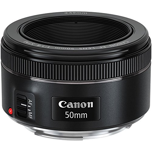 Canon EOS 6D Mark II with 50mm f/1.8 STM Prime Lens + 75-300mm III Lens + 128GB Memory + Pro Battery Bundle + Power Grip + TTL Speed Light + Pro Filters,(24pc Bundle)