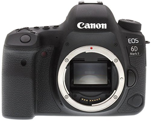 Canon EOS 6D Mark II with 50mm f/1.8 STM Prime Lens + 75-300mm III Lens + 128GB Memory + Pro Battery Bundle + Power Grip + TTL Speed Light + Pro Filters,(24pc Bundle)