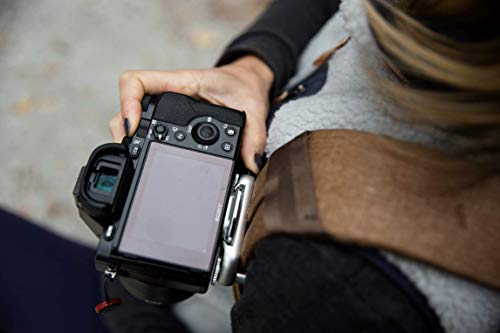Peak Design Capture Camera Clip V3 (Silver with Plate)