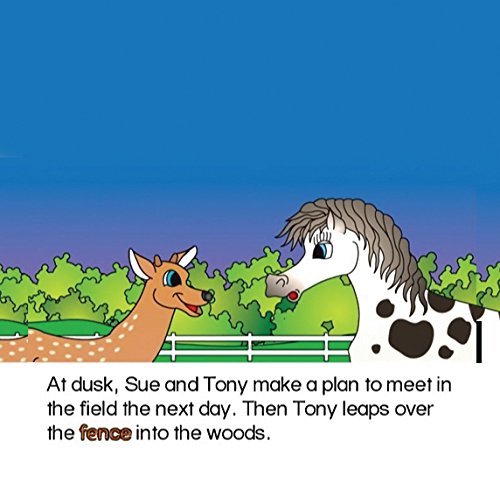 Phonics Easy Readers DVD by Rock 'N Learn