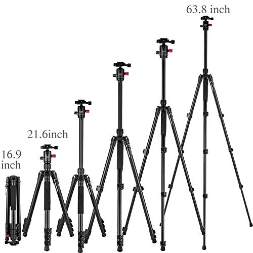MACTREM Professional Camera Tripod with Phone Mount, 62" DSLR Tripod for Travel, Super Lightweight and Reliable Stability, Ball Head Tripod Detachable Monopod with Carry Bag (Black)