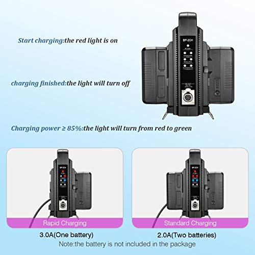 Dual Channel V-Mount/V Lock Battery Charger Compatible with All 14.4V/14.8V V-Mount Batteries,V-Mount Brick (Battery Not Included)