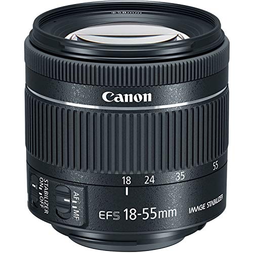 Canon EOS Rebel T8i DSLR Camera w/Canon EF-S 18-55mm F/4-5.6 is STM Zoom Lens + Case + 128GB Memory (28pc Bundle)