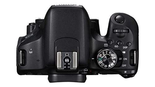 800D (Rebel T7i) DSLR Camera with 18-55mm is STM Zoom Lens & 75-300mm III Lens Bundle + 64GB Memory, Case, Tripod, Filters and More