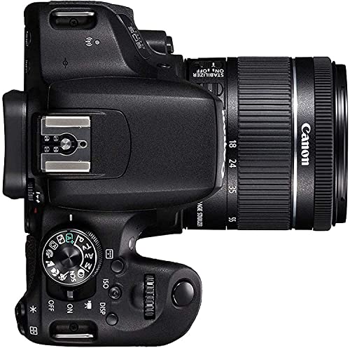 800D (Rebel T7i) DSLR Camera with 18-55mm is STM Zoom Lens & 75-300mm III Lens Bundle + 64GB Memory, Case, Tripod, Filters and More