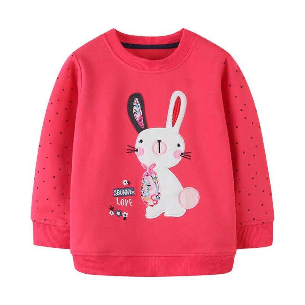 WRHPZW Toddler Baby Girls Long Sleeve Bunny Print Cotton Soft Pullover T-Shirt Tops Clothes size 6