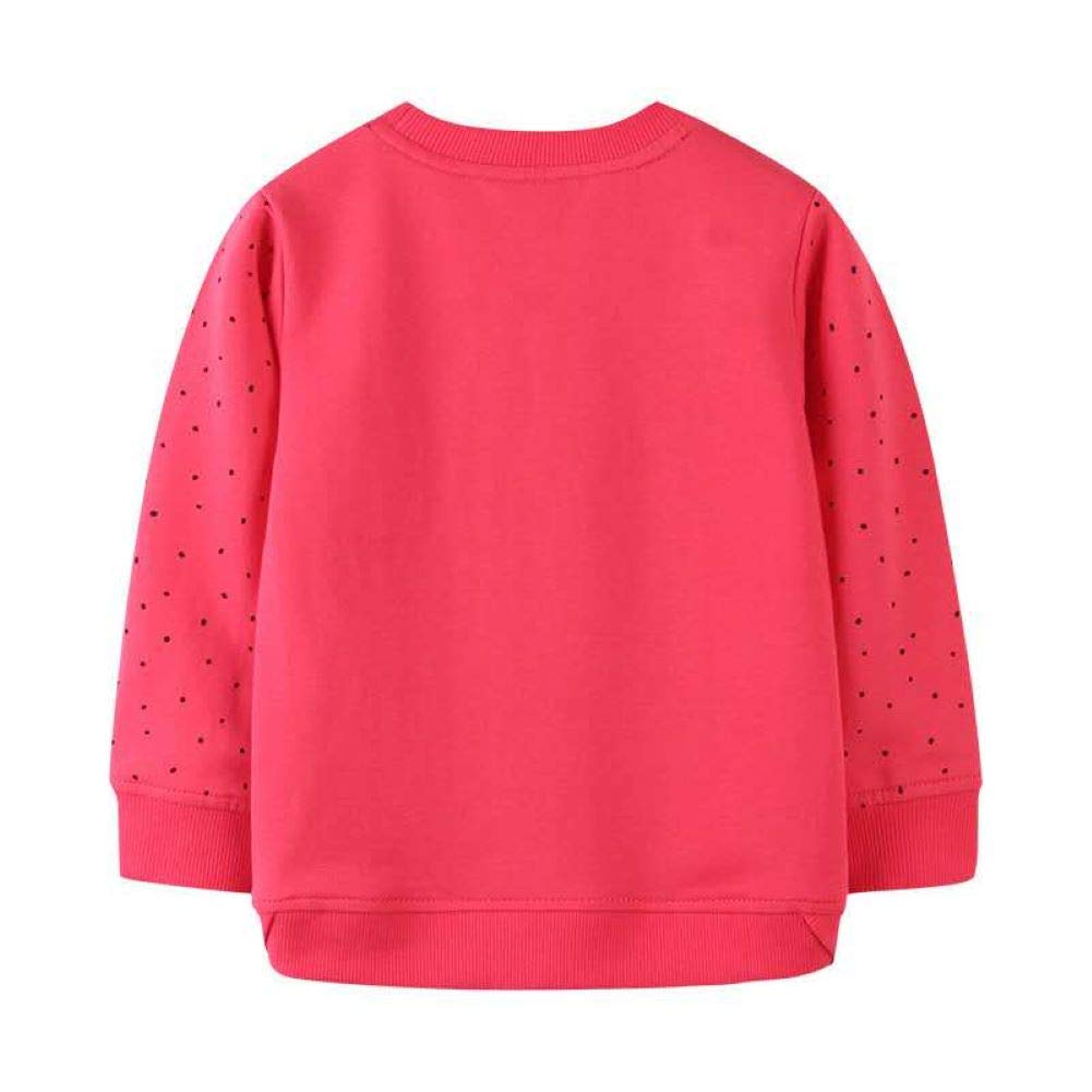 WRHPZW Toddler Baby Girls Long Sleeve Bunny Print Cotton Soft Pullover T-Shirt Tops Clothes size 6