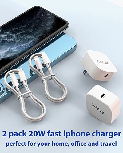 Fast Charger for iPhone, [Apple MFi Certified] 2-Pack 20W PD Fast Charger Fast Charging with Lightning Cable Compatible for iPhone 14/14 Pro/14 Pro Max/14 Plus/13/12/11/Pro/Pro Max/Mini/Xs