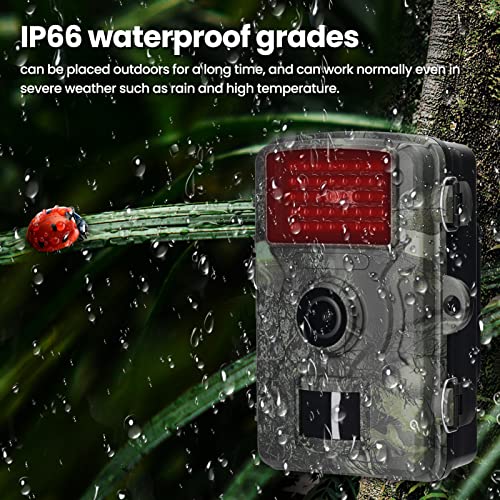 DUONIANHESJ 16MP 1080P Outdoor Camera Field Detection Infrared Camera 2.0 Inch TFT Color Display Day Night Use Hunts Night-Visions Camera (Color : E20924)