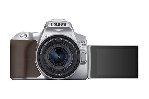 Canon EOS 250D (Rebel SL3) DSLR Camera w/ 18-55mm is STM Lens (Silver) (International Model) (Renewed)