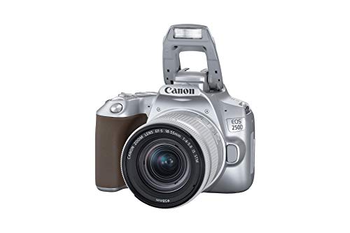 Canon EOS 250D (Rebel SL3) DSLR Camera w/ 18-55mm is STM Lens (Silver) (International Model) (Renewed)