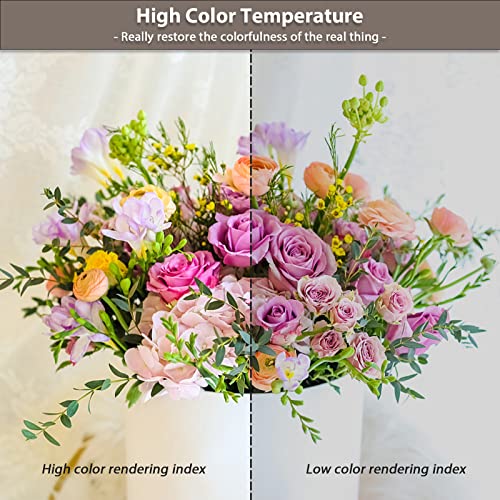 [Upgrade Version] PHOPIK Softbox ​Lighting Kit: 2x76x76cm Soft Box Lights Photography Accessories with 2pcs E27 Socket, Professional Continuous Studio Photography Photo Studio Equipment