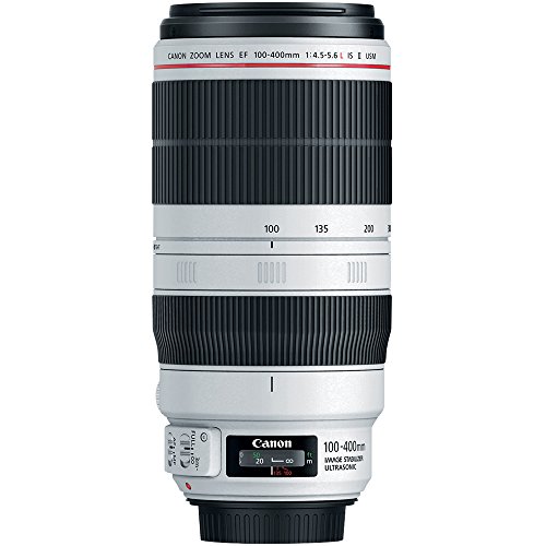 Canon EF 100-400mm f/4.5-5.6L is II USM Lens - 9524B002 (Renewed)