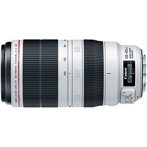 Canon EF 100-400mm f/4.5-5.6L is II USM Lens - 9524B002 (Renewed)