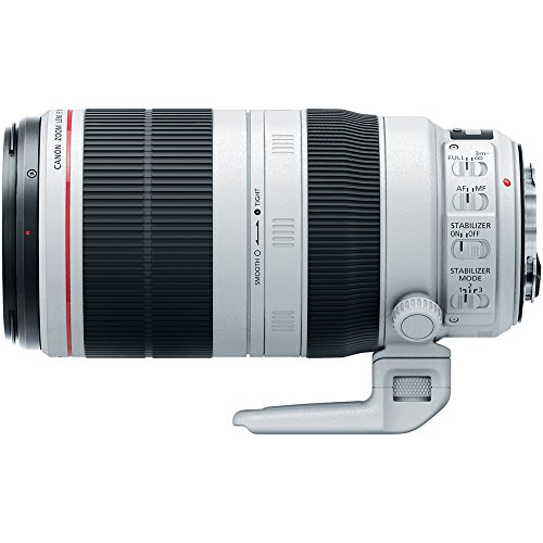 Canon EF 100-400mm f/4.5-5.6L is II USM Lens - 9524B002 (Renewed)