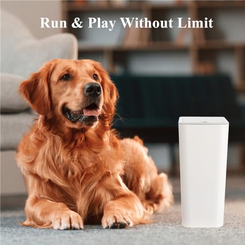 XAJH 2 Pack Trash Can with Lid, Slim Bathroom Trash Can, Small Trash Can with Press Top Lid, Plastic Garbage Can, Waste Basket for Bathroom, Kitchen, Bedroom,Living Room, Office