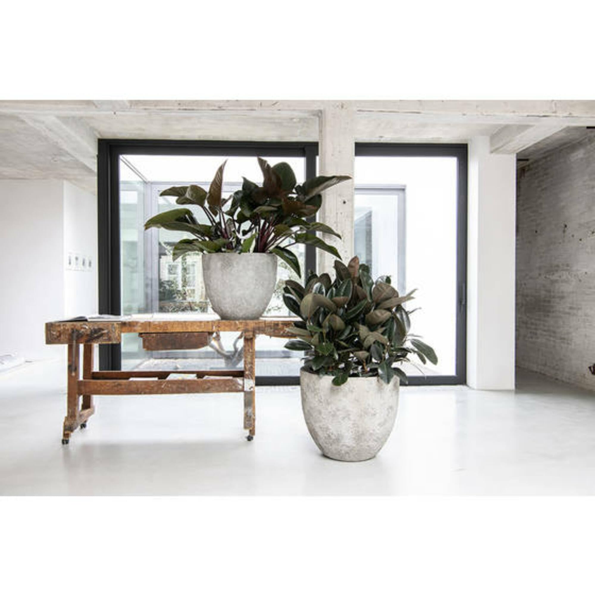 Pottery Pots 16.54" W Extra Small Round Imperial White Ficonstone Indoor Outdoor Jesslyn Planter