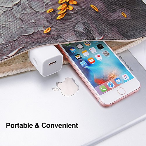 USB Wall Plug 10 Pack, UorMe 1A 5V Single Port Wall Charger Power Adapter Cube Block Box for iPhone SE 14 Plus 13 12 Pro Xs XR X, Samsung Galaxy A13 S22 S21FE A21 A71 A51 A31 S10e S9 S8, Pixel 6