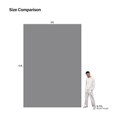 LimoStudio 9 feet X 13 feet Professional Photography Background Gray Color, Dimension, Backdrop Muslin with 3 Heavy Duty Spring Clip Clamp, Gray Canvas, Chromakey Screen, AGG2331