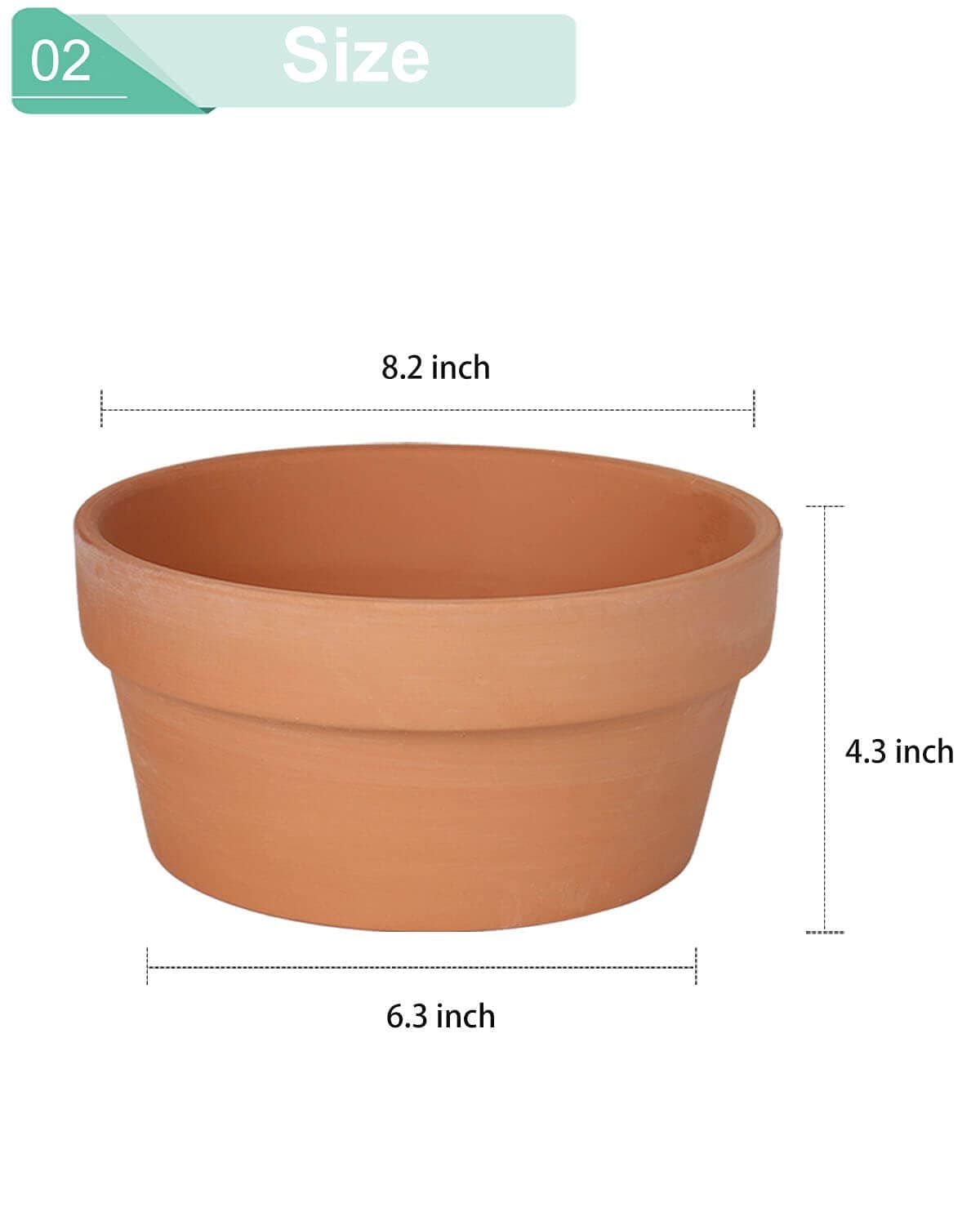 vensovo 8 Inch Terracotta Shallow Succulent Pot - 2 Pack Large Terra Cotta Clay Pot with Saucer, Cacuts Indoor and Outdoor Planters with Drainage Hole
