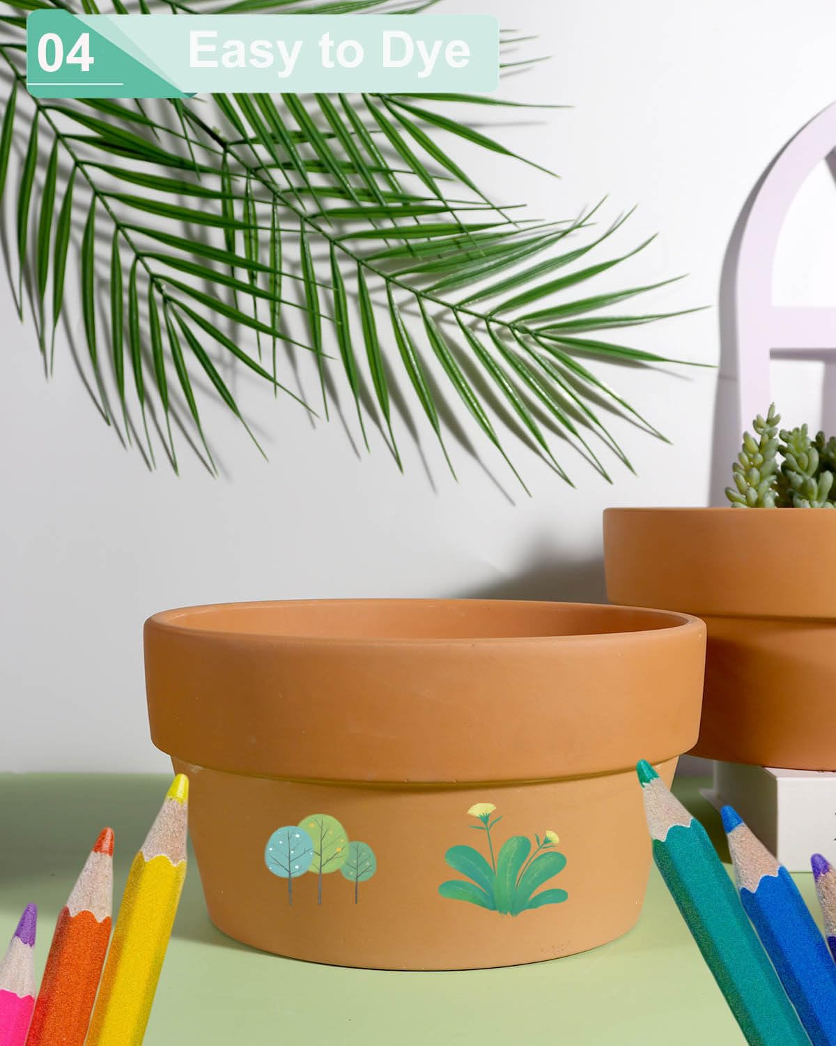 vensovo 8 Inch Terracotta Shallow Succulent Pot - 2 Pack Large Terra Cotta Clay Pot with Saucer, Cacuts Indoor and Outdoor Planters with Drainage Hole