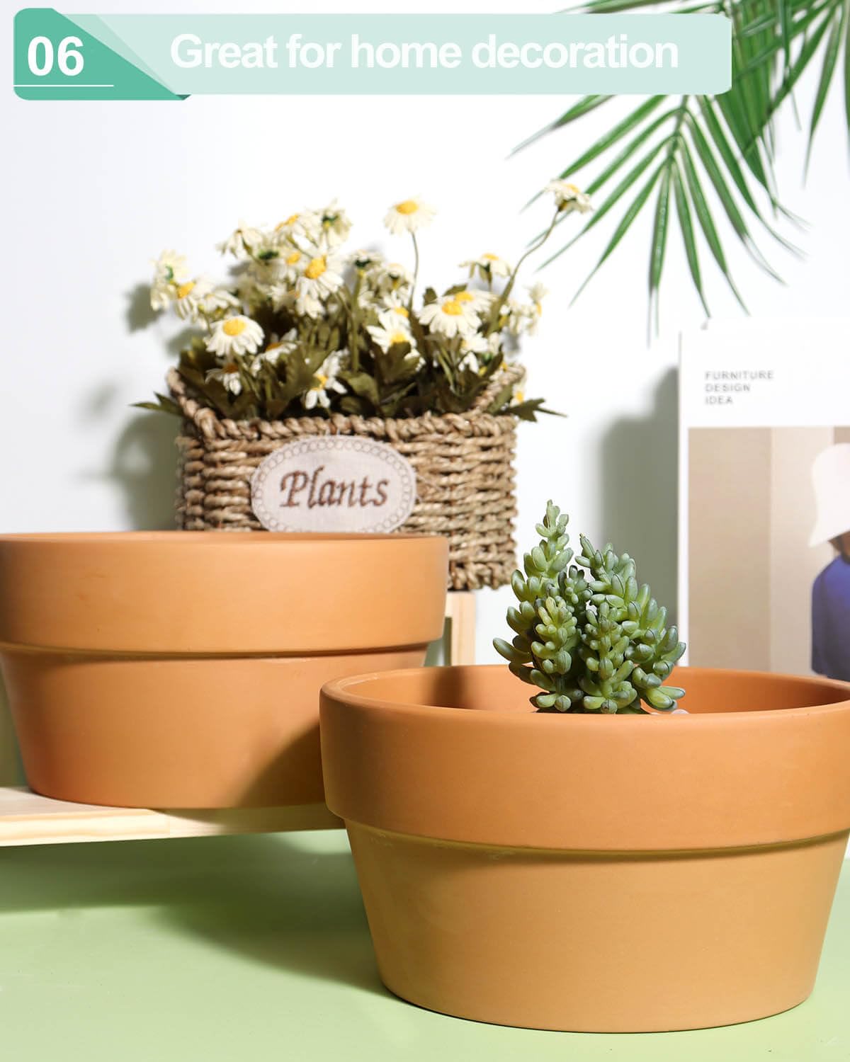 vensovo 8 Inch Terracotta Shallow Succulent Pot - 2 Pack Large Terra Cotta Clay Pot with Saucer, Cacuts Indoor and Outdoor Planters with Drainage Hole