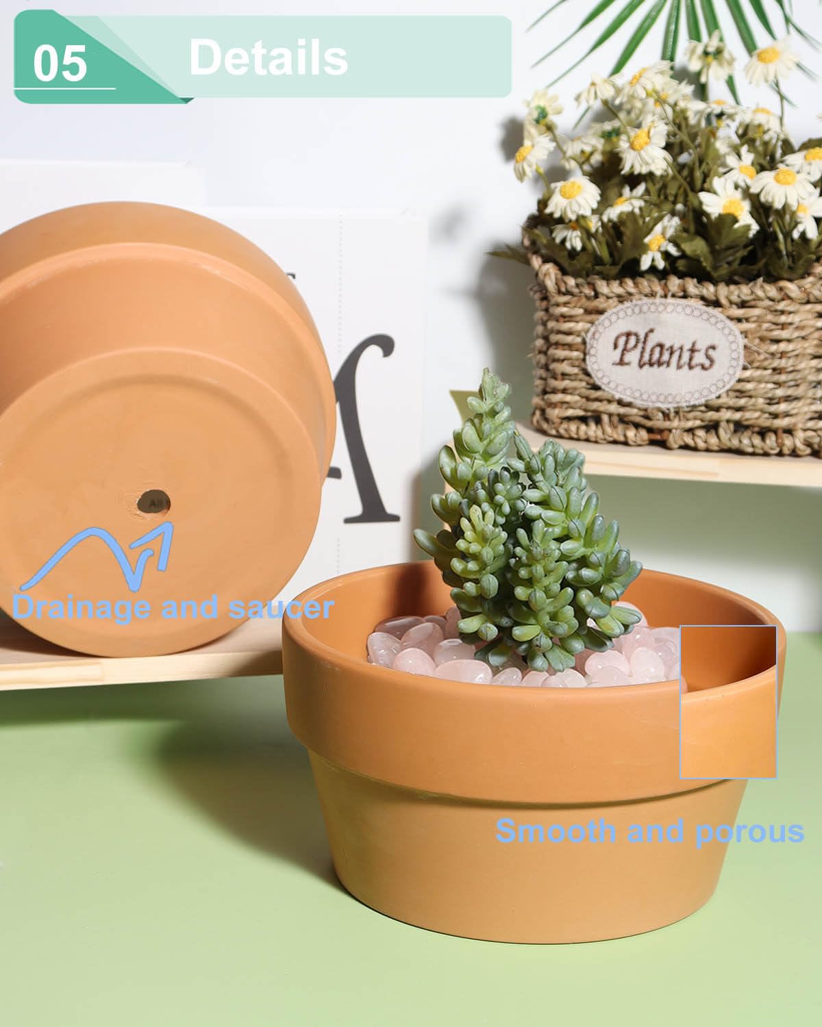 vensovo 8 Inch Terracotta Shallow Succulent Pot - 2 Pack Large Terra Cotta Clay Pot with Saucer, Cacuts Indoor and Outdoor Planters with Drainage Hole
