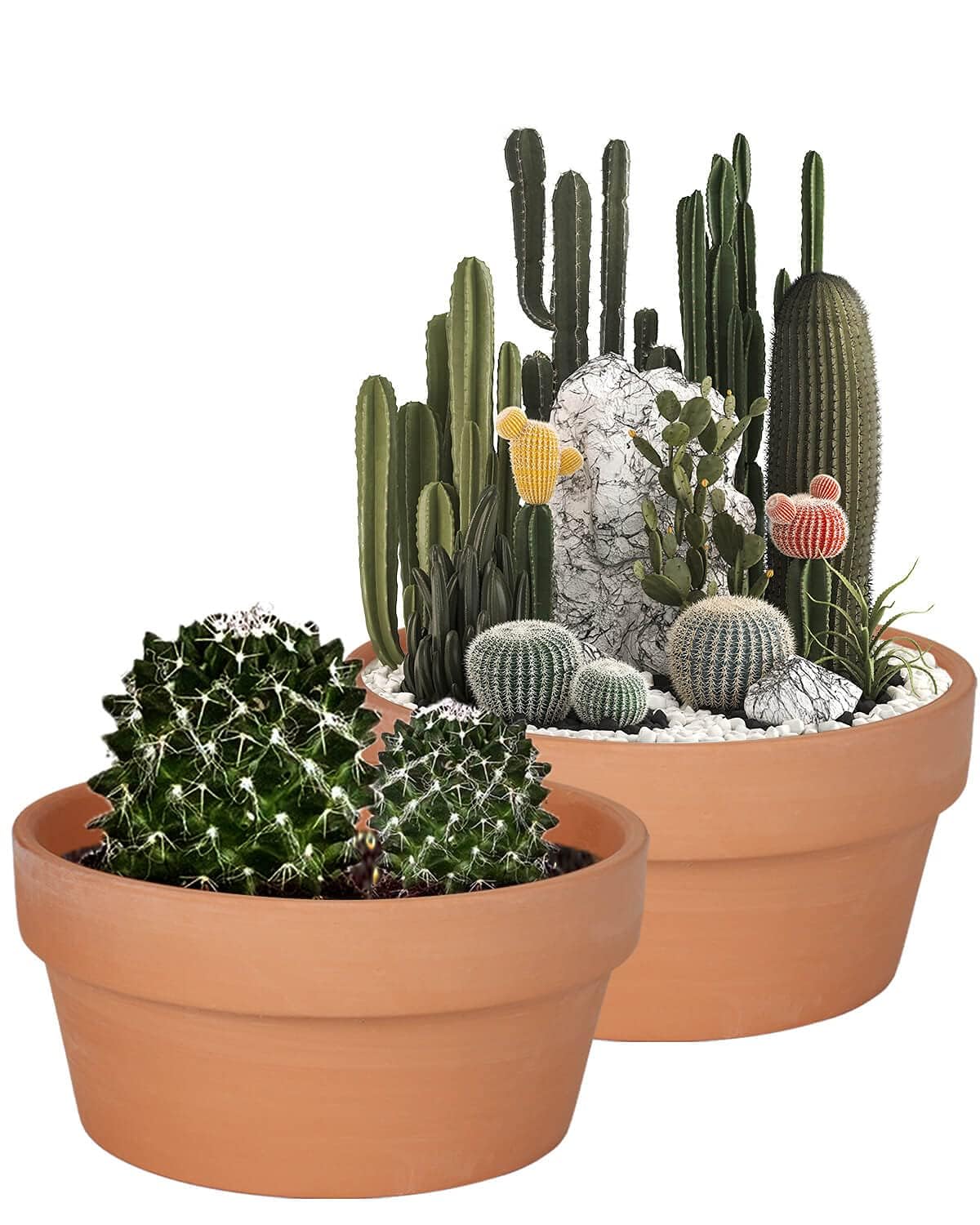 vensovo 8 Inch Terracotta Shallow Succulent Pot - 2 Pack Large Terra Cotta Clay Pot with Saucer, Cacuts Indoor and Outdoor Planters with Drainage Hole