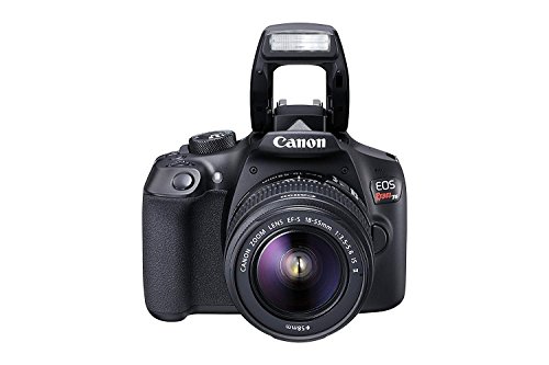 Canon EOS Rebel T6 Digital SLR Camera Kit with EF-S 18-55mm f/3.5-5.6 is II Lens, Built-in WiFi and NFC - Black (US Model)