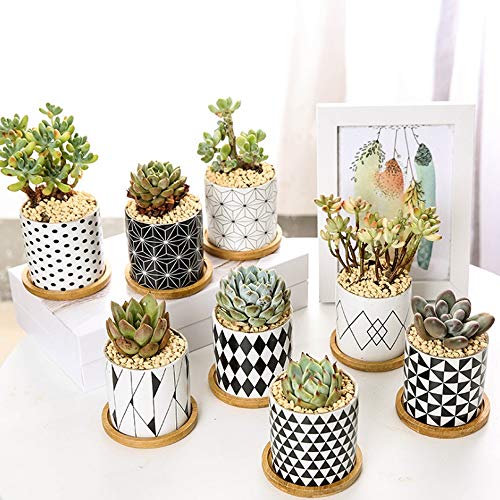 FURLOU Pottery Planter,Small Plant pots,Geometric Pattern Ceramic Succulent Small Ceramic Pot Ceramic Flower Green Plant Container Planter Classic Round Shape Planter Beautiful Scenery (Co Flower (Co