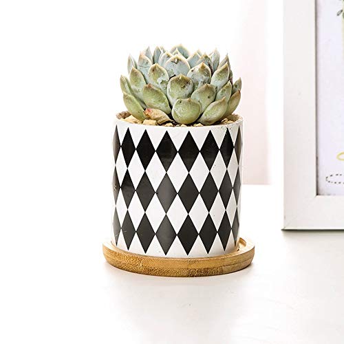 FURLOU Pottery Planter,Small Plant pots,Geometric Pattern Ceramic Succulent Small Ceramic Pot Ceramic Flower Green Plant Container Planter Classic Round Shape Planter Beautiful Scenery (Co Flower (Co