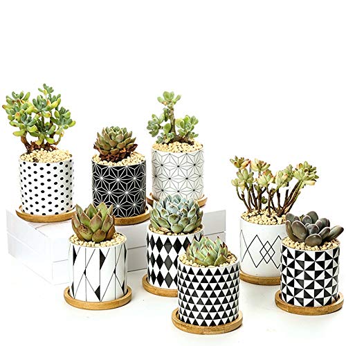 FURLOU Pottery Planter,Small Plant pots,Geometric Pattern Ceramic Succulent Small Ceramic Pot Ceramic Flower Green Plant Container Planter Classic Round Shape Planter Beautiful Scenery Flower