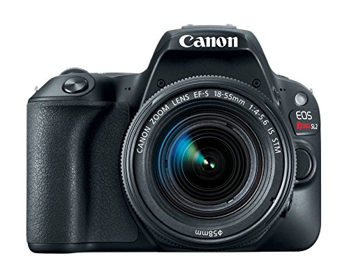 Canon EOS Rebel SL2 with 18-55mm Digital SLR Camera Kit 2249C002 (Renewed)