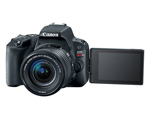 Canon EOS Rebel SL2 with 18-55mm Digital SLR Camera Kit 2249C002 (Renewed)