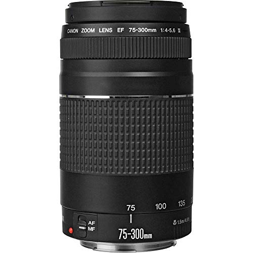Canon EOS Rebel T7 DSLR Camera with 18-55mm and 75-300mm Lenses + Creative Filter Set, EOS Camera Bag + Sandisk Ultra 64GB Card + Cleaning Set, and More (Renewed)