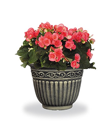 Classic Home and Garden 9475-060 Umbria Planter, 12" Planter, Ivory Ash